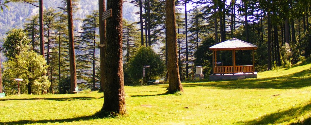 Hill Station Tour Packages - All India Tour Packages by Indus Trips