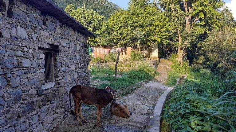 Maral Village Rishikesh Uttarakhand - All India Tour Packages by Indus ...